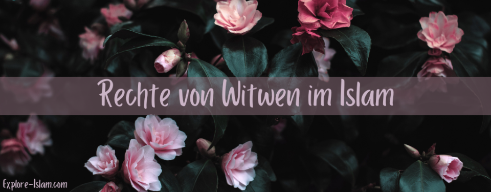 10 Ehrenverse über Maria im Koran - Explore Islam